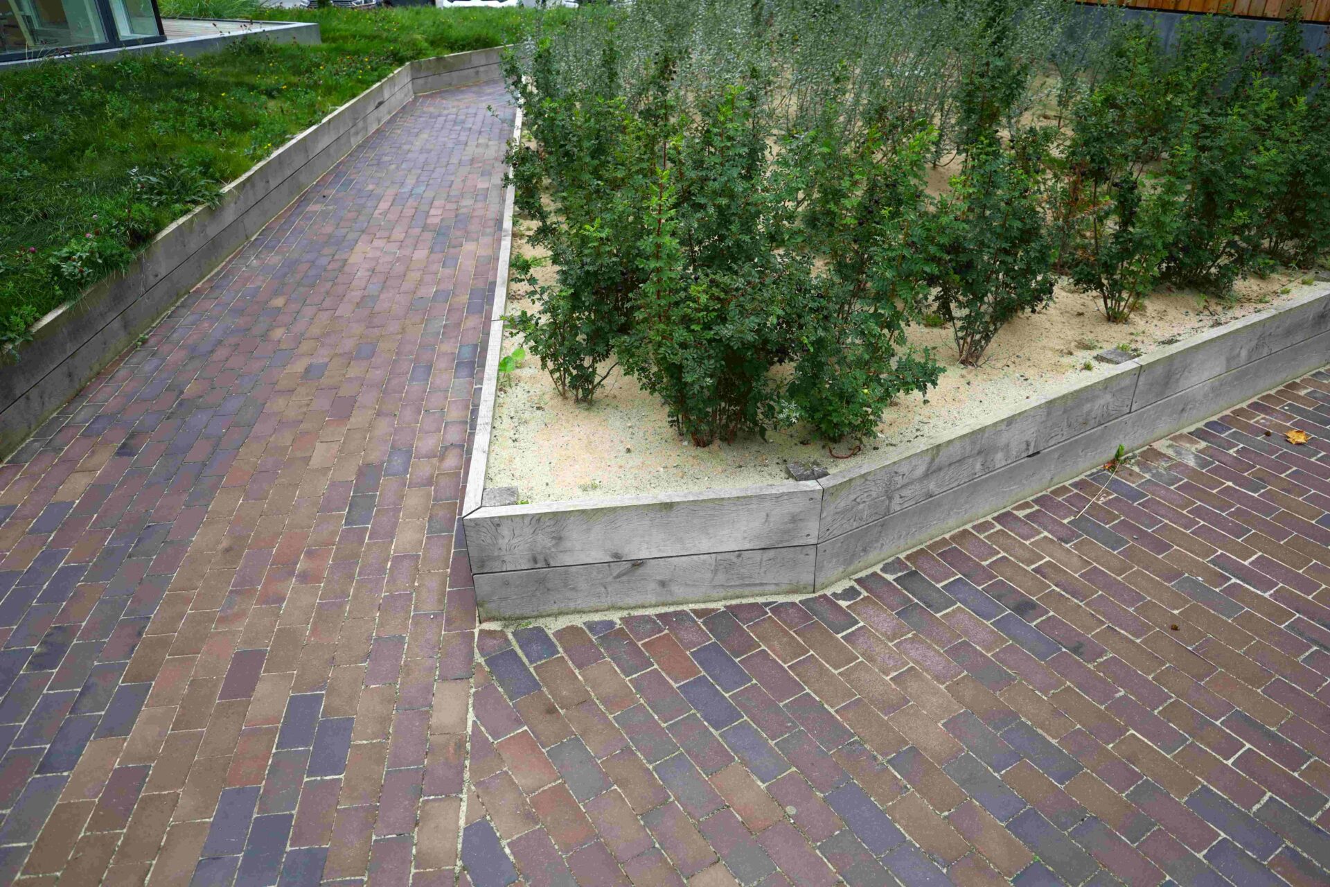 Kronborg Strand - Steffen Sten